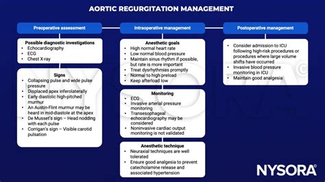 Aortic Regurgitation Ar Nysora