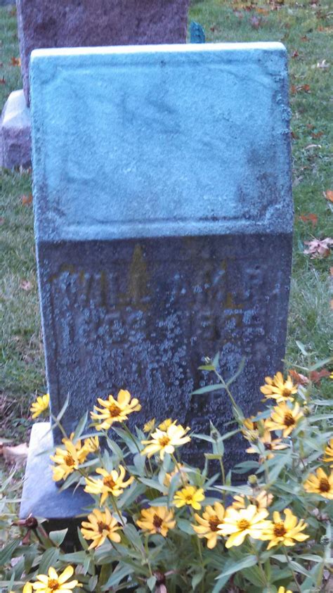 Anna D Doan Wyant 1866 1936 Memorial Find A Grave