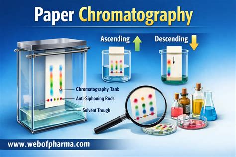 Paper Chromatography Apparatus Procedure Ascending And Descending