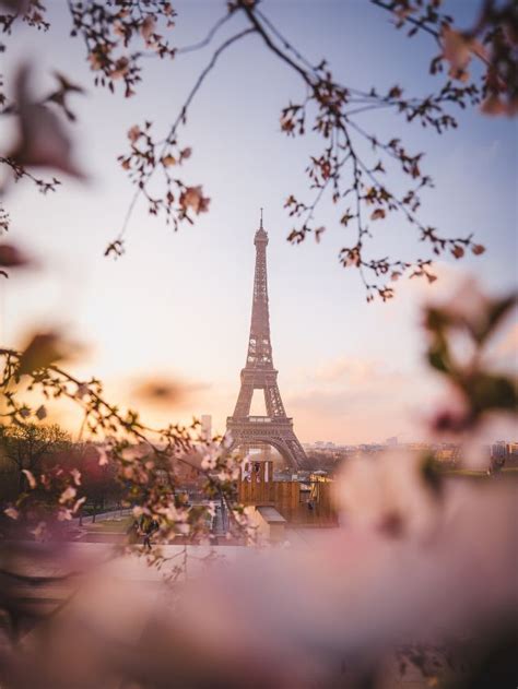 Things To Do In Paris In 4 Days Tosomeplacenew