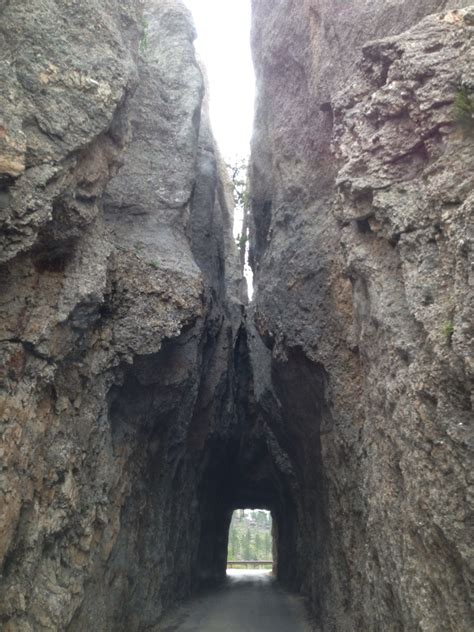 Tunnel On Needles Highway Custer State Park South Dakota