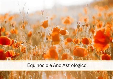 Equinócio E Ano Novo Astrológico Arminda Rosa Mestre