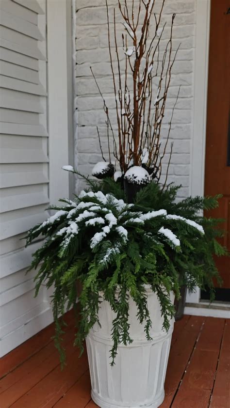Diy Delights 18 Simple Outdoor Winter Planters For Your Porch Fads