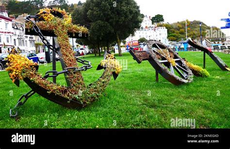 Joy Wheel Stock Videos And Footage Hd And 4k Video Clips Alamy