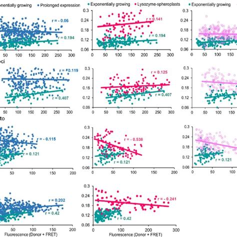 Self Association Of The Vc Fused Constructs Correlates Poorly With Download Scientific Diagram
