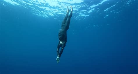 Freediving Champion At Sherry Hubbard Blog
