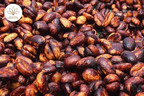 Specialty Coffee Supplier Top Specialty Coffee Source For Outstanding