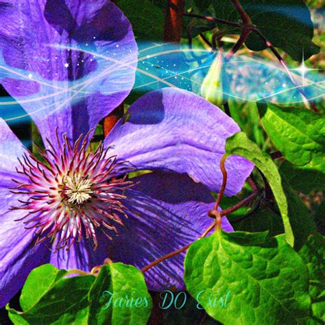 Stream Taylor Grasshopper Music Listen To Songs Albums Playlists For Free On Soundcloud