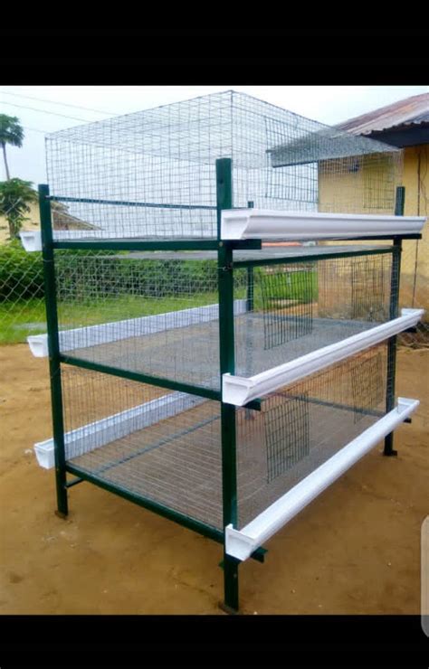 Brooding Broiler Cage Agriculture Nigeria
