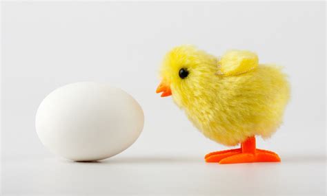 The Complex Relationship Between Conversion Personalization And