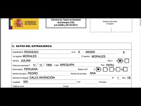 Guía Completa Sobre El Modelo Ex 17 Requisitos Y Procedimiento Para La Extranjería En España