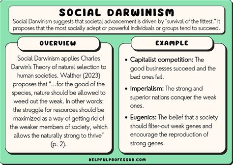 10 Social Darwinism Examples 2025