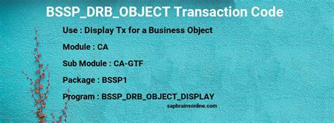 BSSP DRB OBJECT SAP Tcode For Display Tx For A Business Object