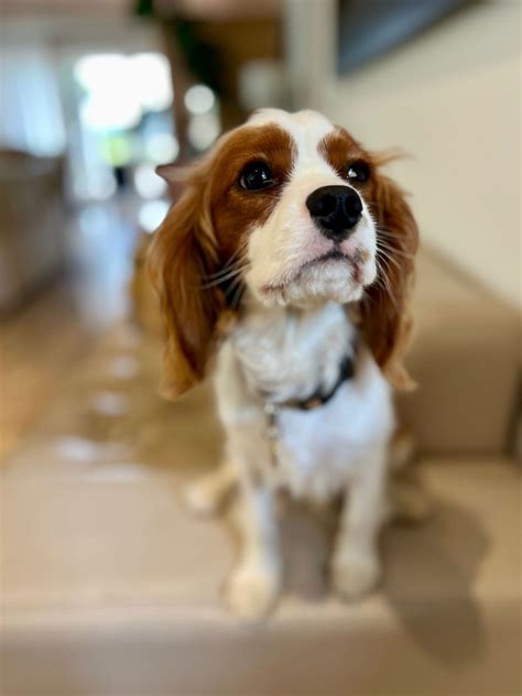 The Mark And Grether Group Compass On Linkedin ⚠️warning This Post