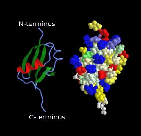 Vaccine Manufacturing With Sumo Lifesensors
