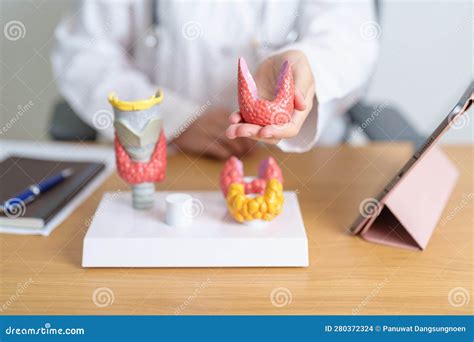 Doctor With Human Thyroid Anatomy Model And Tablet Hyperthyroidism
