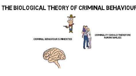 What Is Biological Trait Theory In Criminology At Zoe Nanya Blog