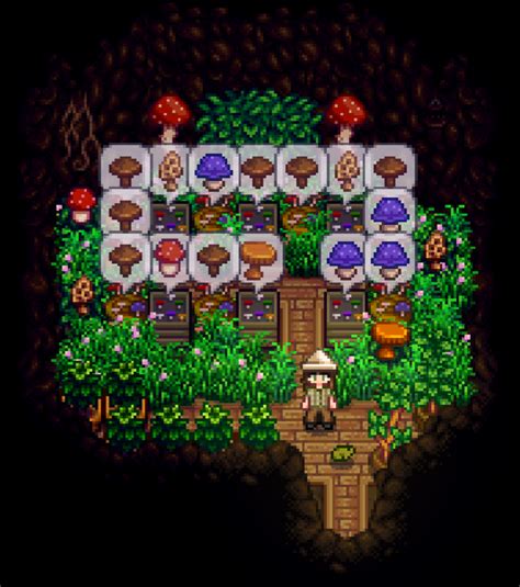 Stardew Valley Mushroom Cave Yay Layout De Fazenda Construção De