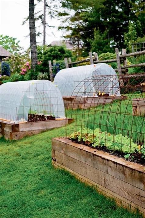 37 Ideas De Pequeños Invernaderos Invernaderos Invernadero Pequeño Jardinería De Invernadero