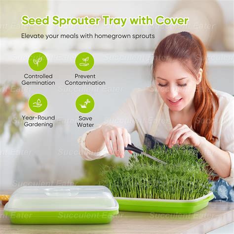 Sprouting Tray Microgreen Tray Double Layer Cat Grass Seedling Vegetable Seed Nursery Planter