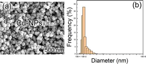 The Sem Micrographs Of Original Cu Nps A And Its Corresponding Dls
