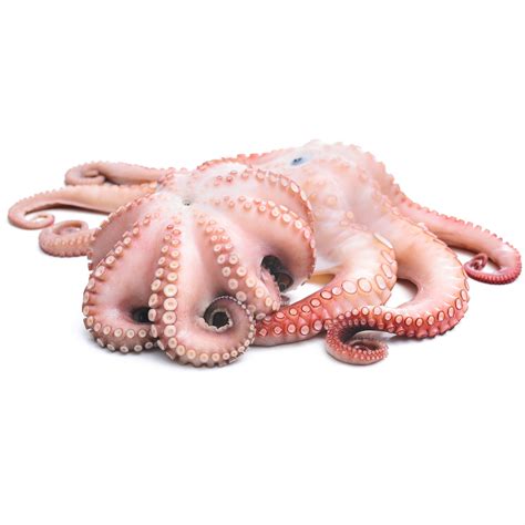 Mexican Raw Octopus El Marlin Seafood Market
