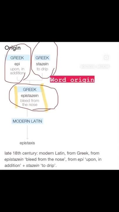 What Is The Meaning And Word Origin Of The Medical Term Epistaxis