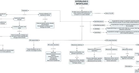Portafolio De Ginecología Y Obstetricia Esterilidad E Infertilidad