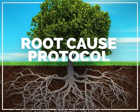 Root Cause Protocol Functional Self Au