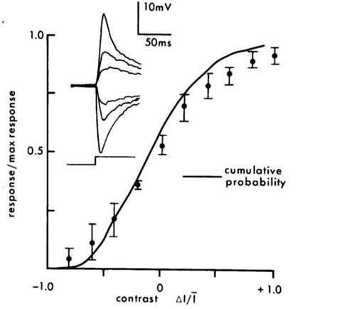 Must A Theory Be Falsifiable To Contribute To Good Science The