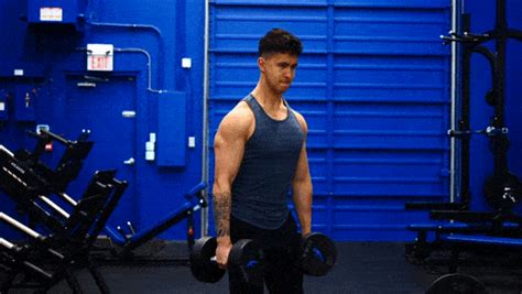 Back Workouts With Dumbbells