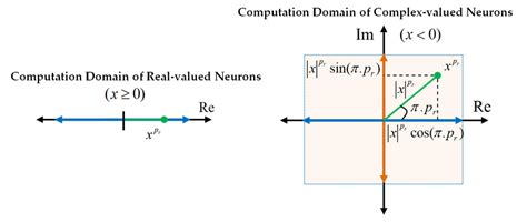 The Domain Of The Real Valued Neuron And The Domain Of The