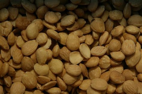 Almendra Marcona La Más Cara