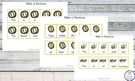 Printable Bee Life Cycle Cards Bee Life Cycle Bee Printables Bee