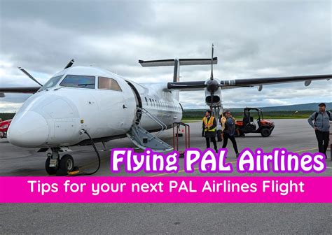 My Pal Airlines Experience Reviewing Service Seats And More
