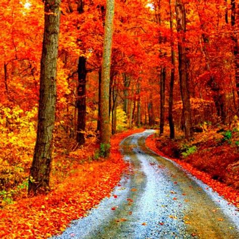 Patrick Woods Youtube