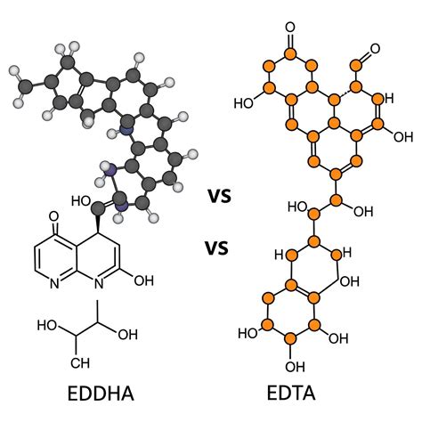 Danatek Co Ltd What Is The Difference Between Eddha And Edta Chelates
