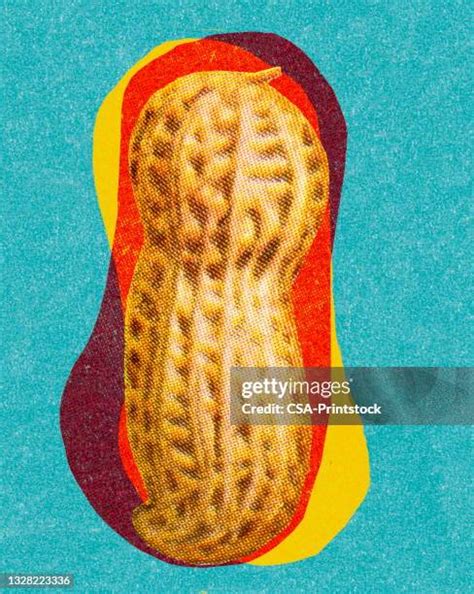 Peanut In Shell Photos And Premium High Res Pictures Getty Images
