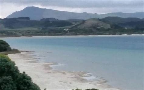 Taharoa Domain Campground Promenade Point Freedom Basic Camp New Zealand