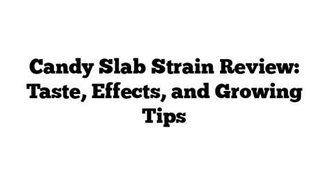 Candy Slab Strain Review A Sweet Delight For Cannabis Enthusiasts