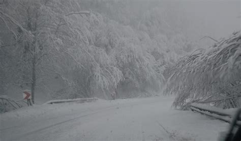 Забрана за тешки товарни возила на патниот правец Кичево Гостивар преку