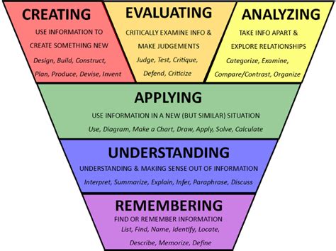 A Principals Reflections July 2019