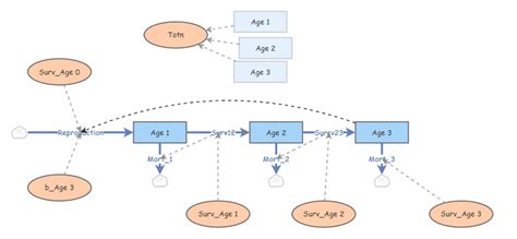 Age Structure Model Insight Maker