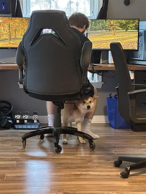 Mom And Dad Are On Their Computers Ill Get Their Attention One Way Or