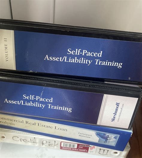 Sheshunoff Chatgpt Ancin Cooley Cia Cisa