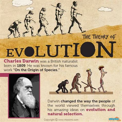 Darwins Theory Of Evolution Anthonyecreilly