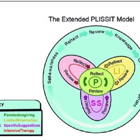 Pdf Application Of The Extended Plissit Model To Improve Sexual Health In The Adolescent