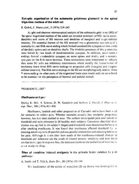 Pdf Synaptic Organization Of The Substantia Gelatinosa Glomeruli In The Spinal Trigeminal
