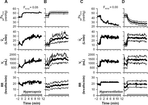Time Course Of Respiratory Responses To A One Step Increase In Download Scientific Diagram
