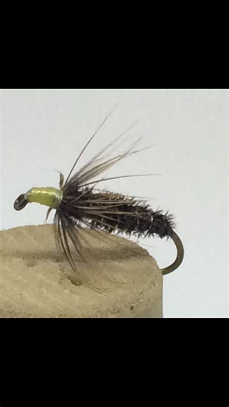 Pin Di Pubz Mcwreckthegaff Su My Flies